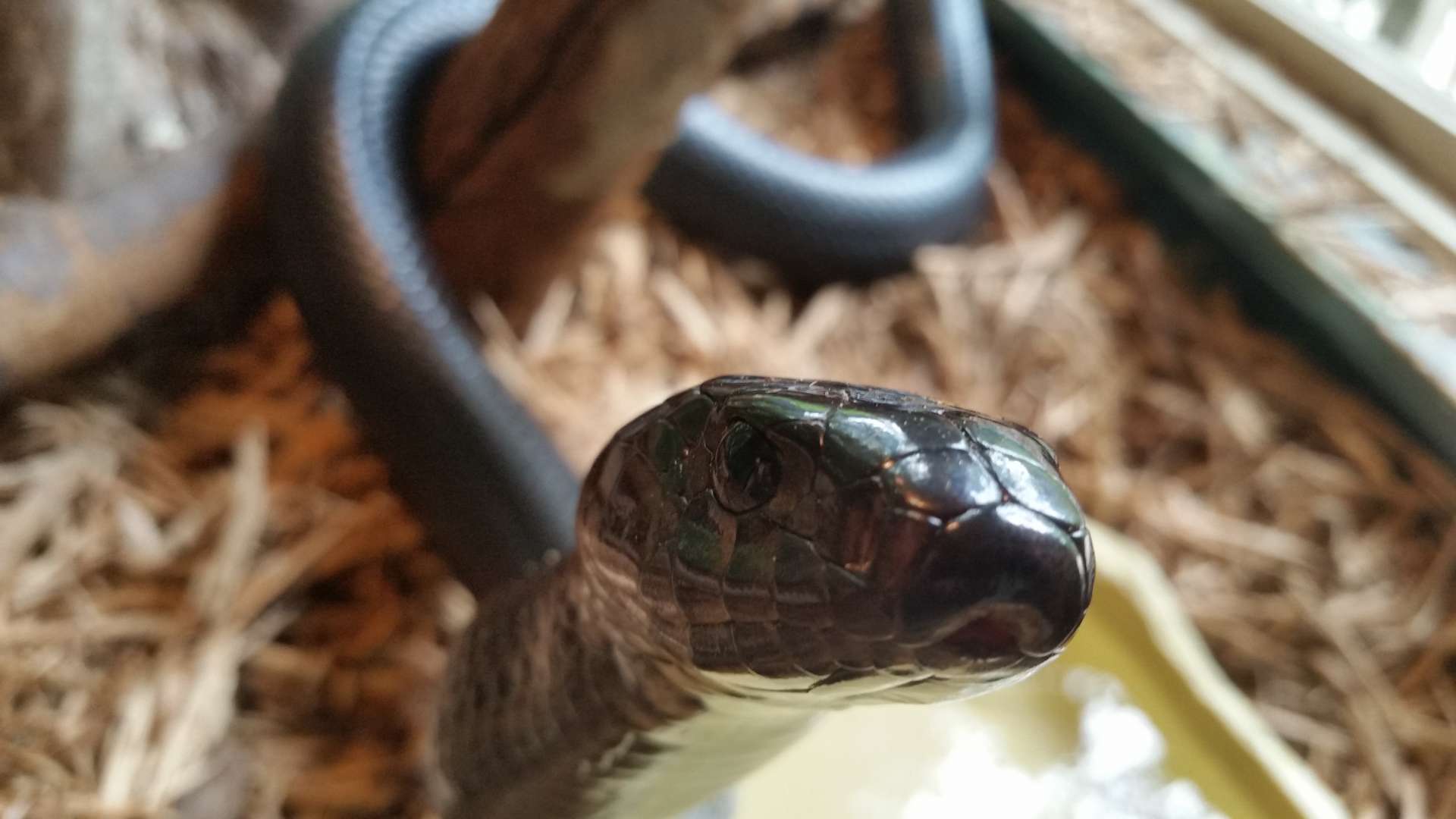 Keeper Stories - Thursday, March 23 - Zoo Atlanta