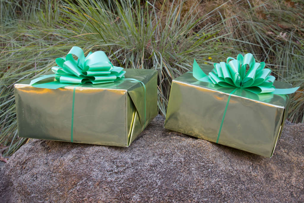 Matching Gifts - Zoo Atlanta