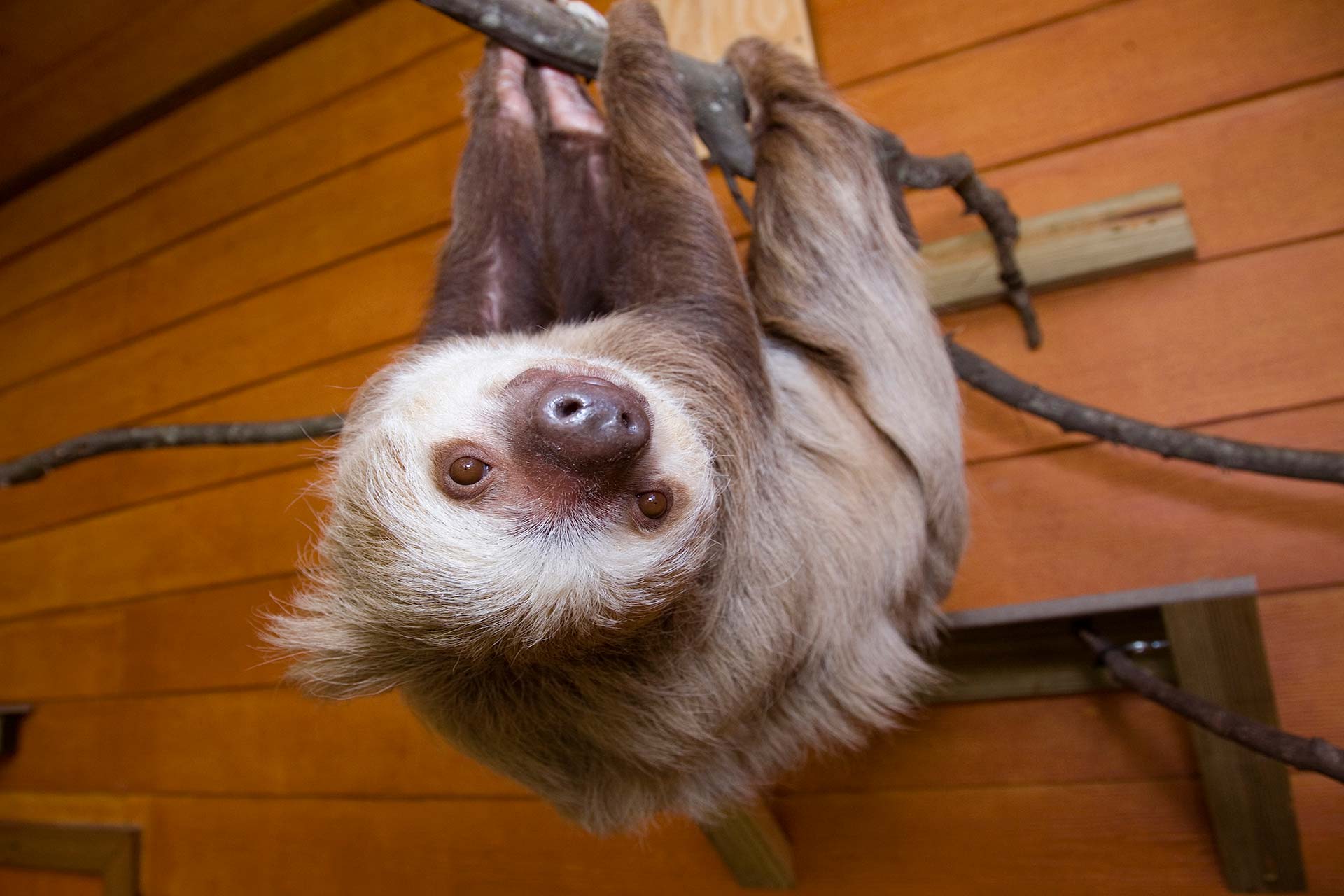 Support - Zoo Atlanta