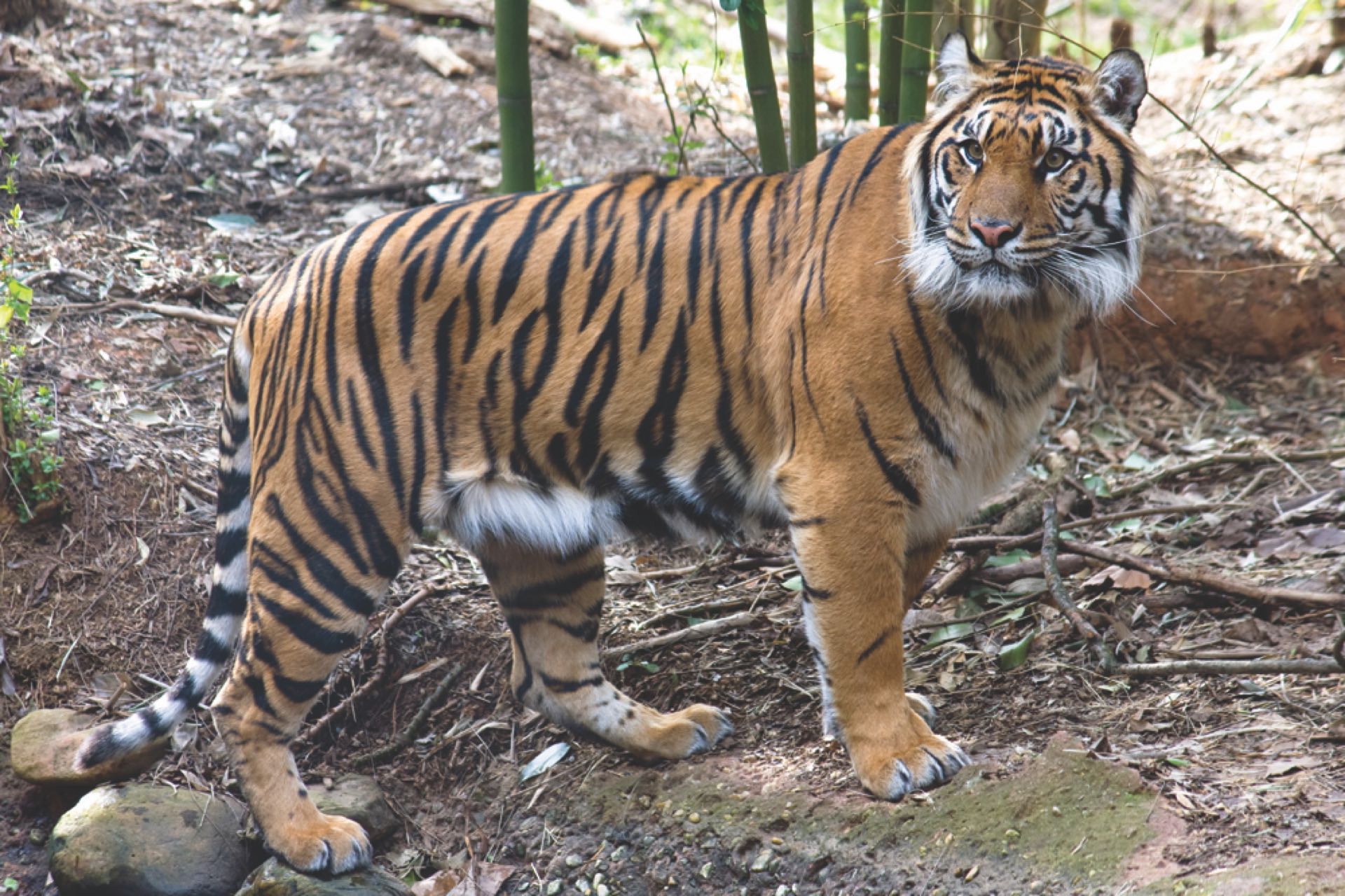 Endangered Species Day - Zoo Atlanta
