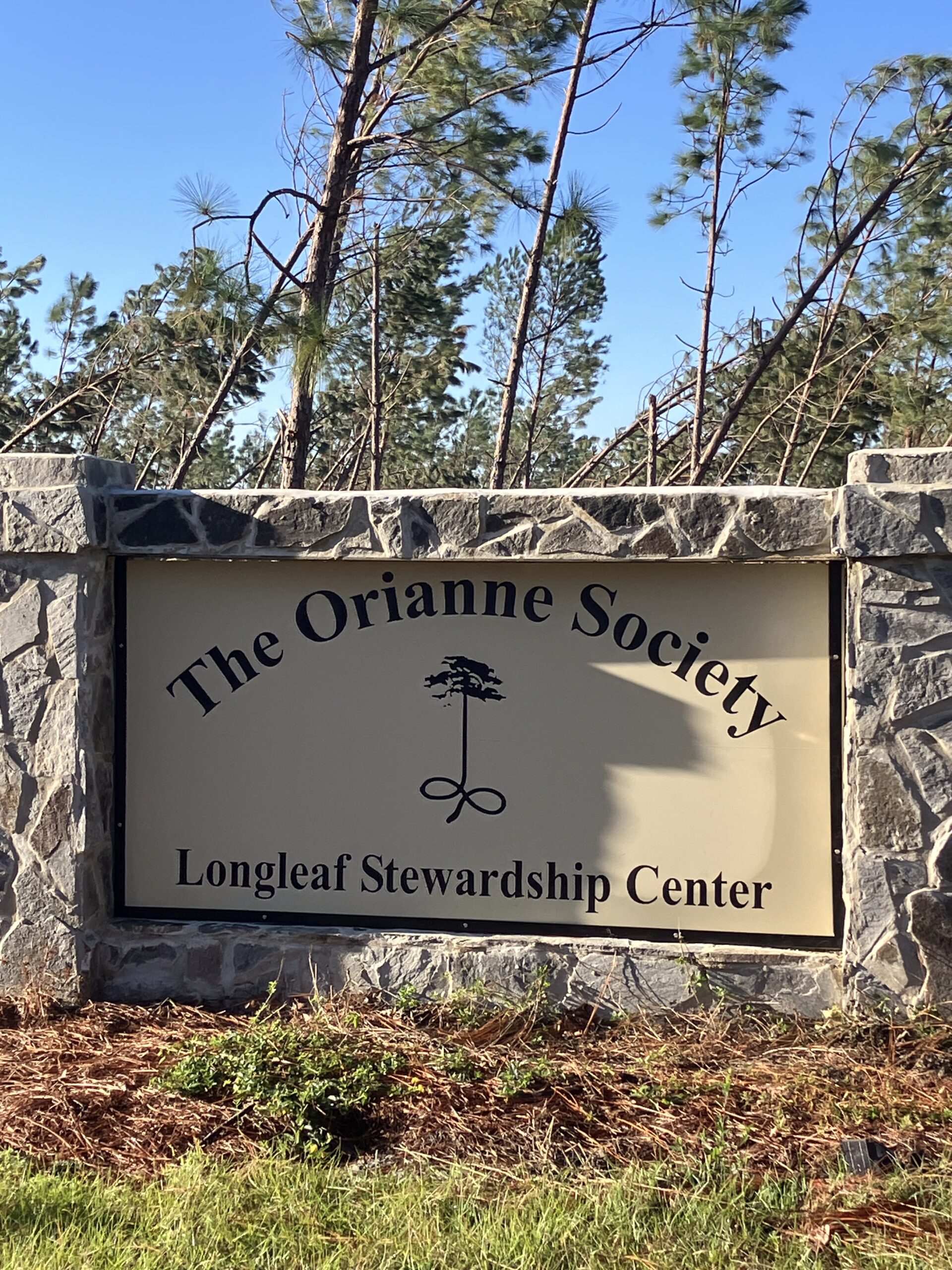 Surveying eastern indigo snake habitats - Zoo Atlanta