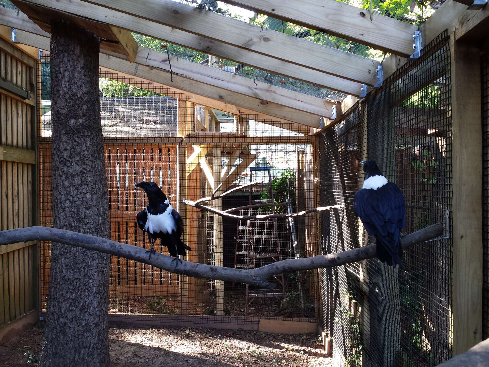 The retired life - Zoo Atlanta