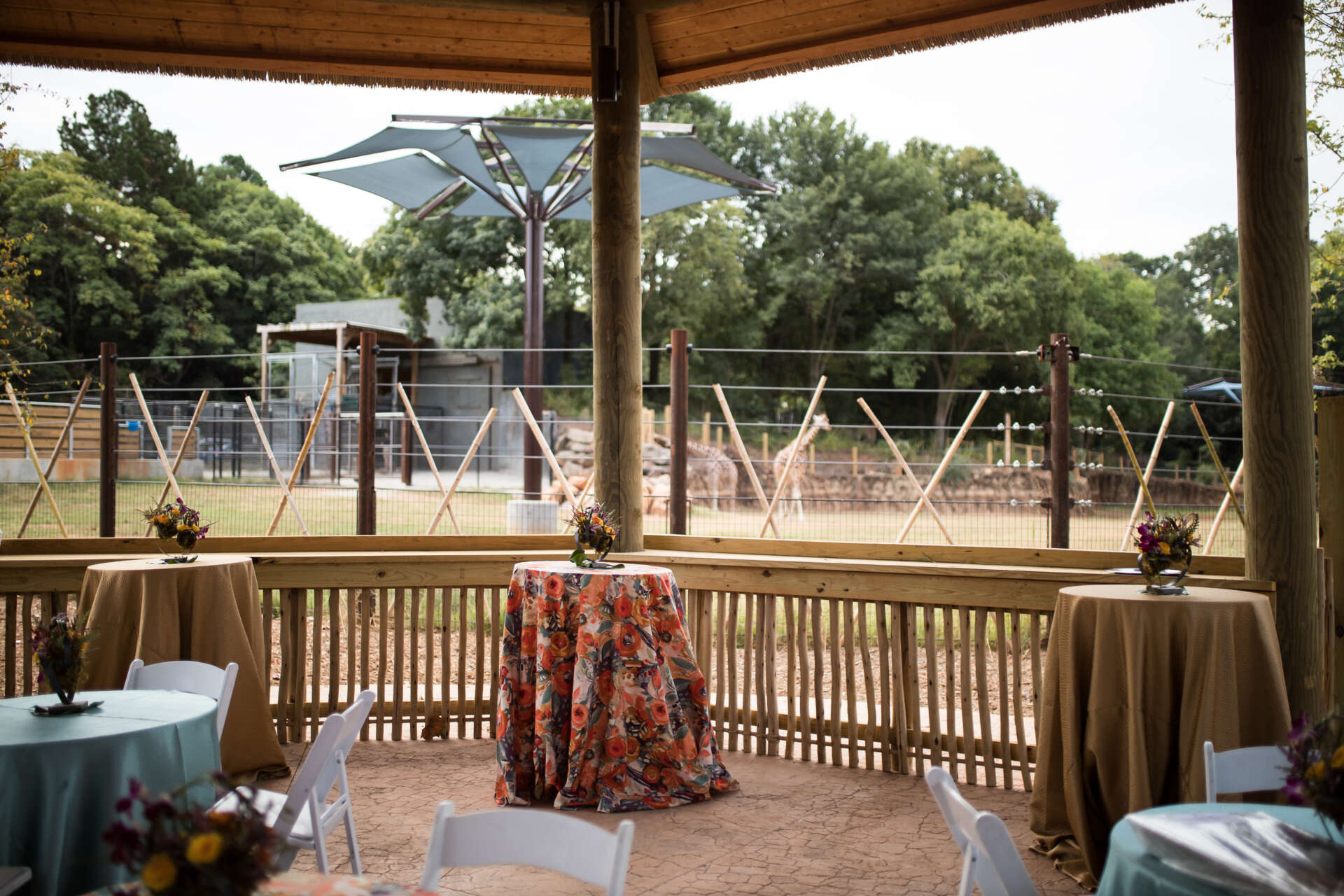 Zoo Atlanta Party - Atlanta Party Venues