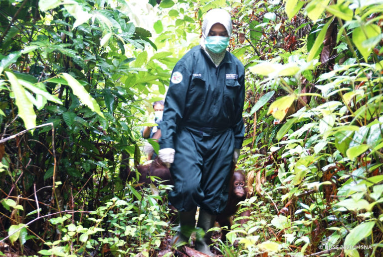 Quarters for Conservation: BOSF - Zoo Atlanta