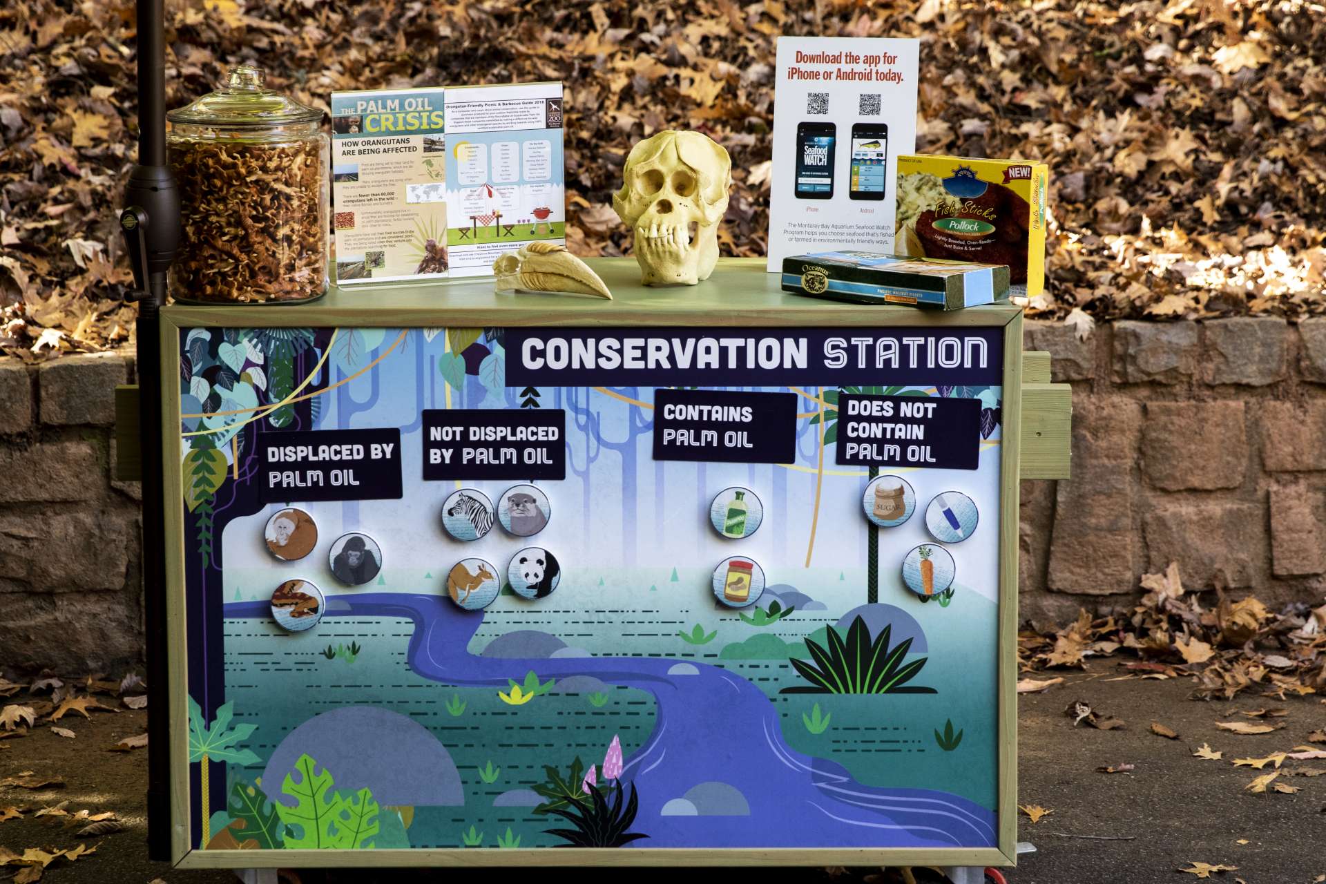 Conservation Carts - Zoo Atlanta