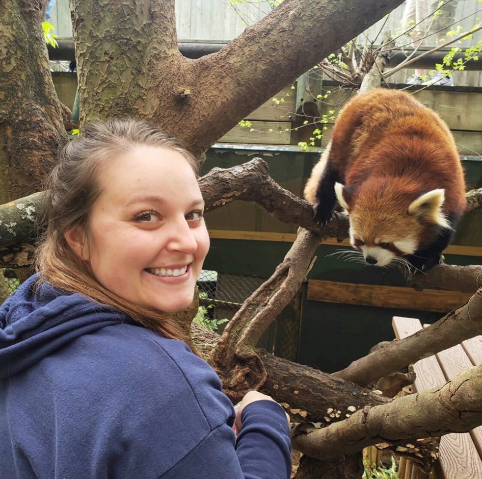 Panda Updates - Monday, April 6 - Zoo Atlanta