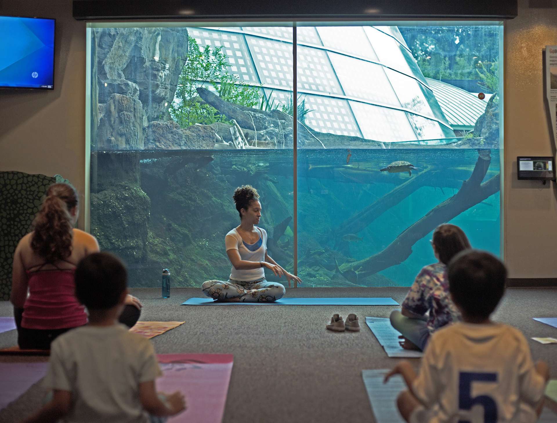 Fun for the entire family - Zoo Atlanta