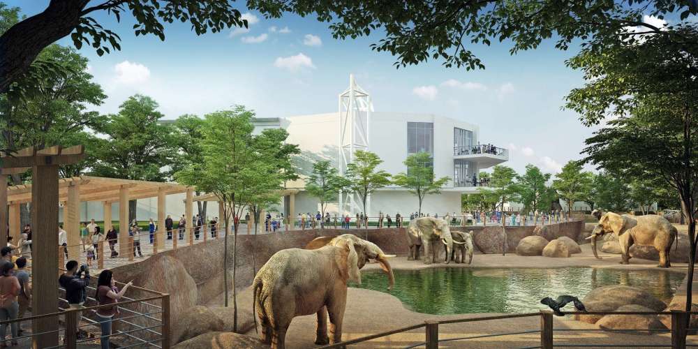 A sneak-peek at Savanna Hall - Zoo Atlanta