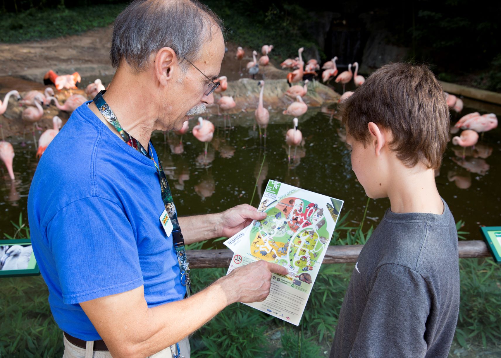 Adult Volunteer: Education Program - Zoo Atlanta