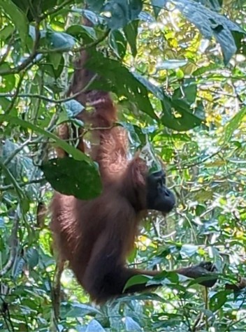 Borneo Earth Expedition - Zoo Atlanta
