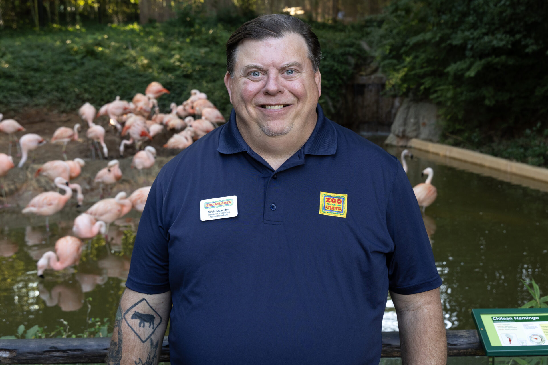 David Quavillon - Zoo Atlanta