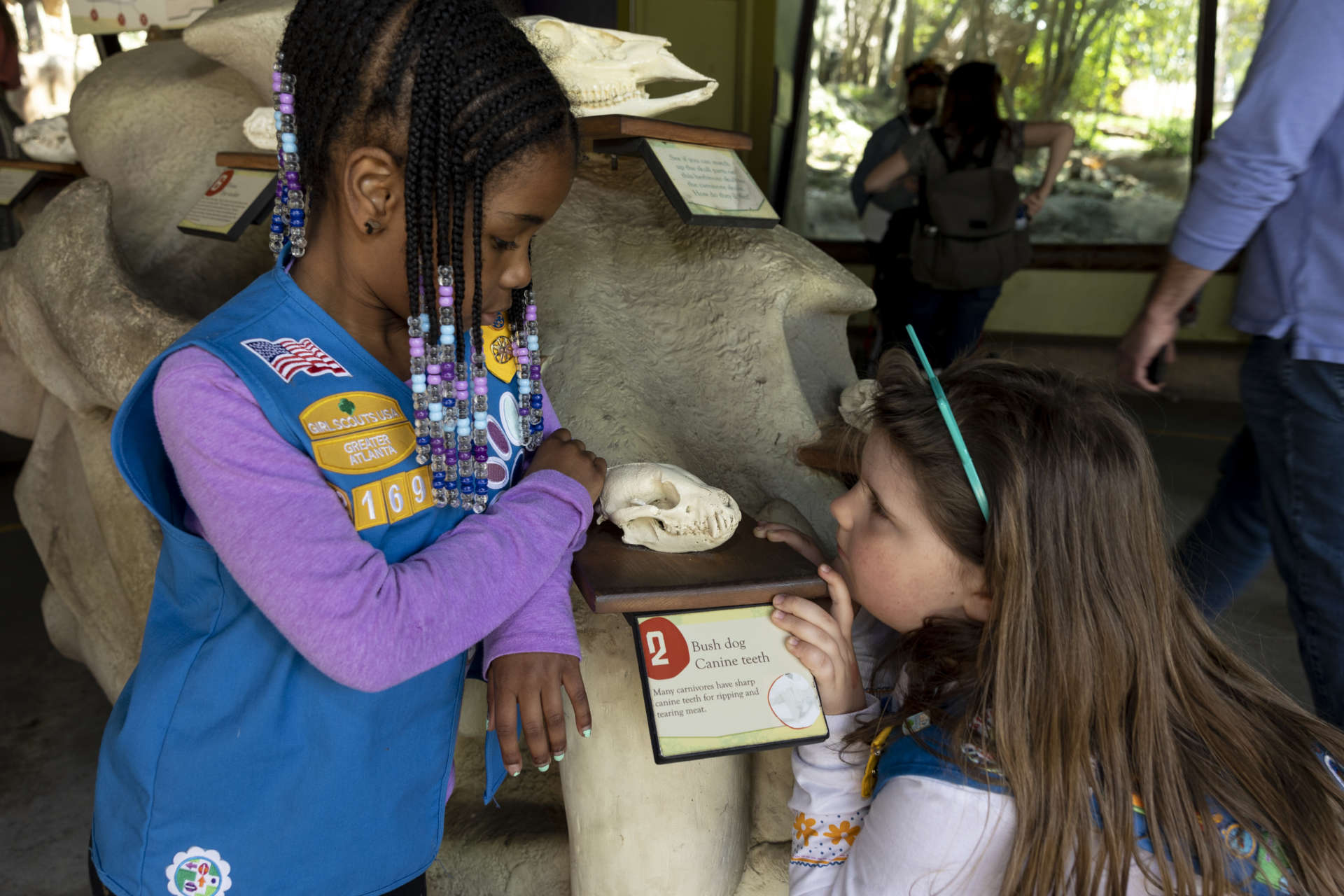 Self-Guided Field Trips: Scout Groups - Zoo Atlanta