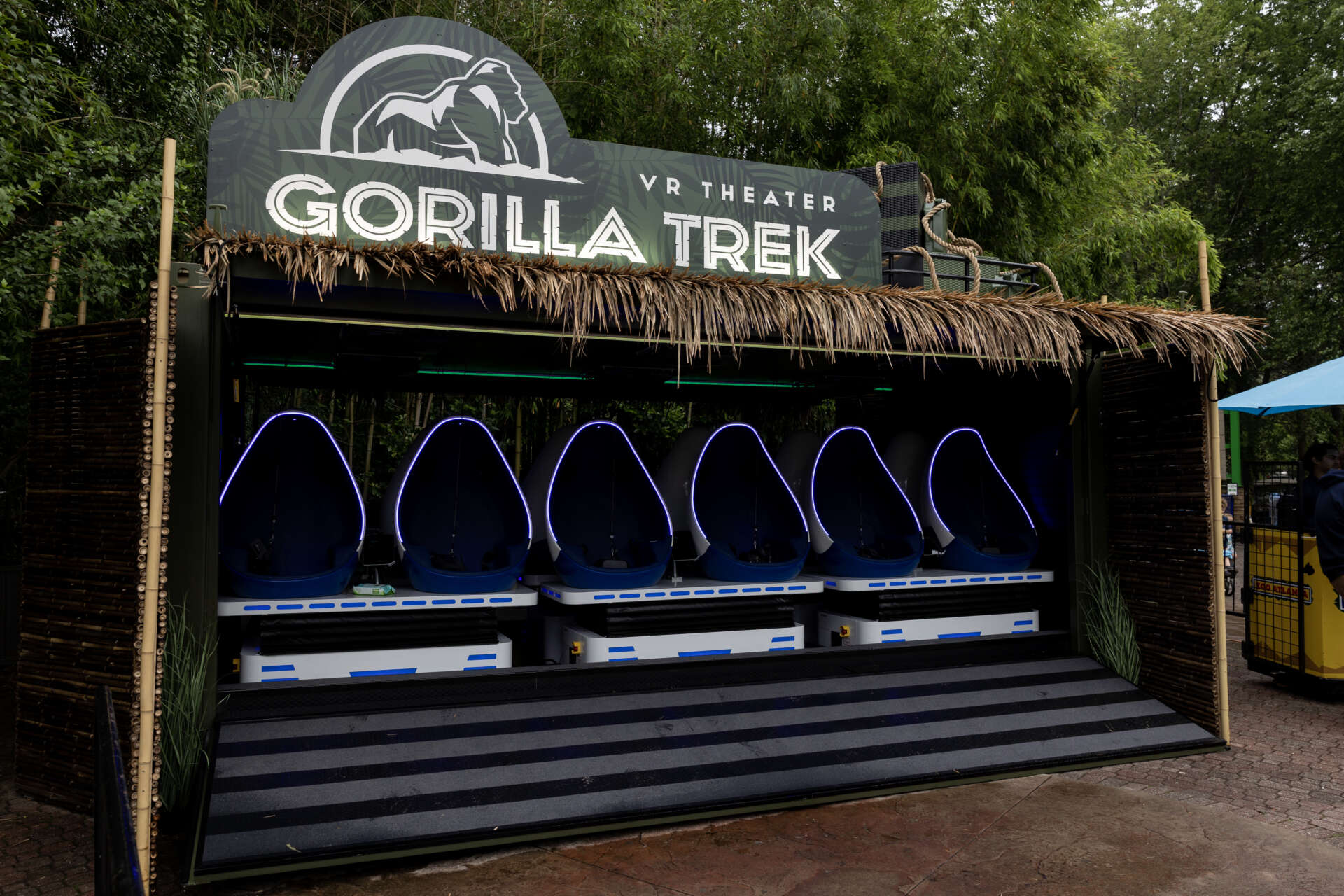 Gorilla Trek - Zoo Atlanta