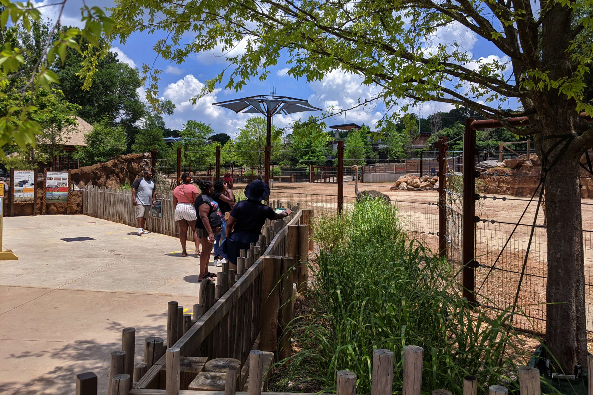 Members Only Night: Spring - Zoo Atlanta