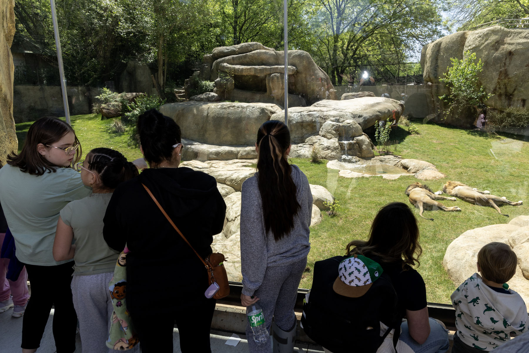 African Savanna - Zoo Atlanta