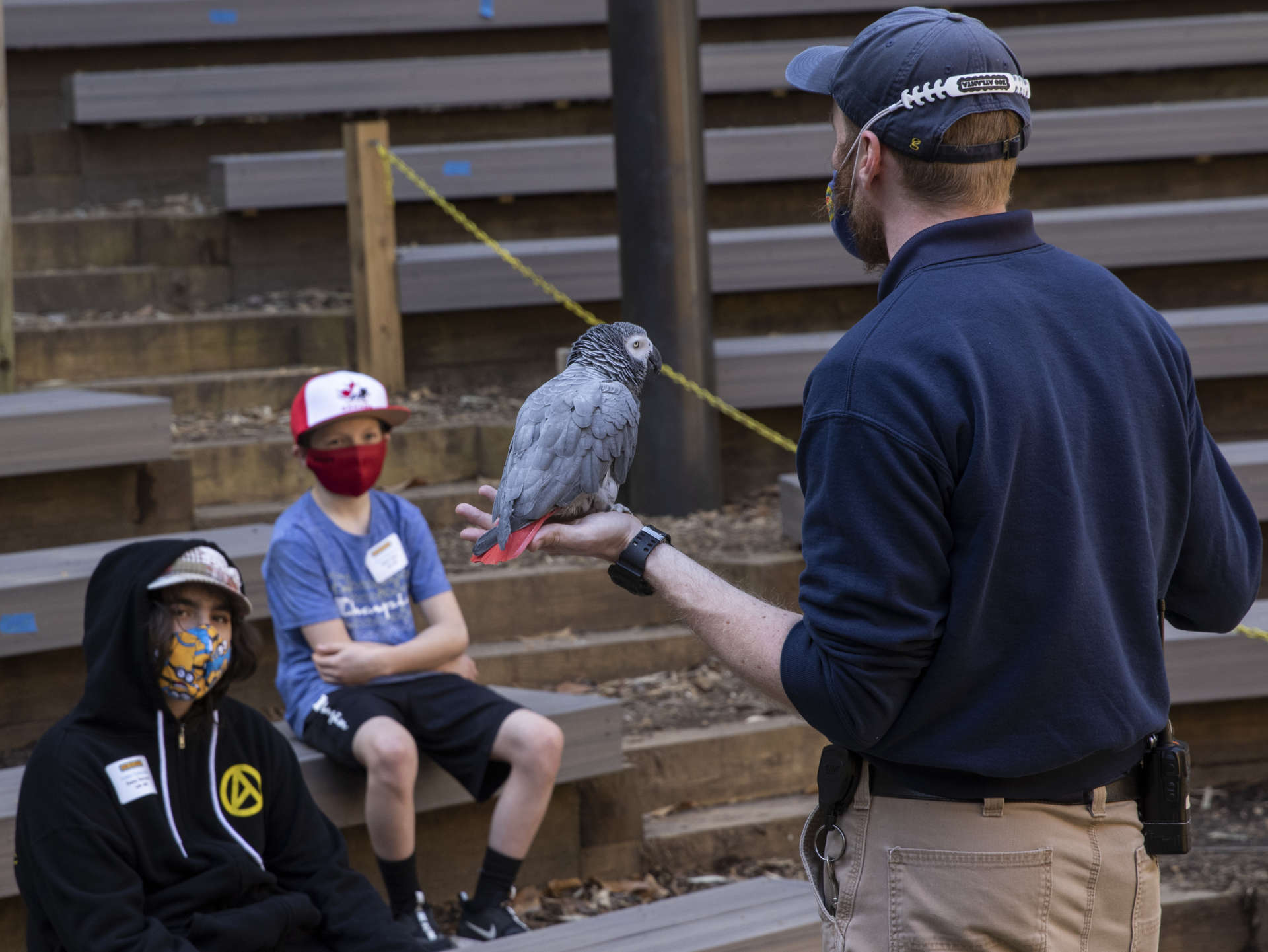 Voluntary nail trims for ambassador animals - Zoo Atlanta