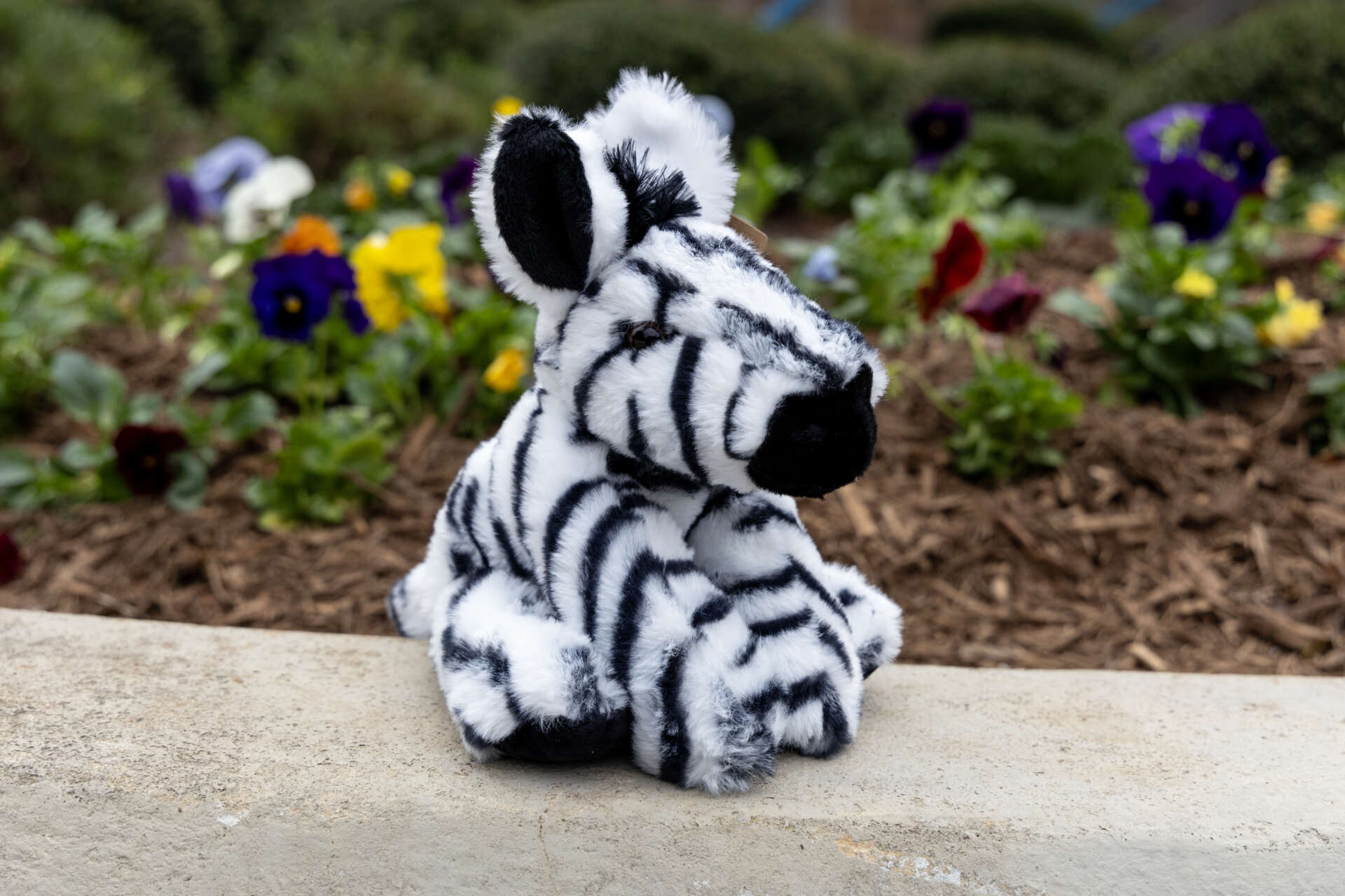 Gift Membership - Zoo Atlanta - FREE Daytime admission all year long