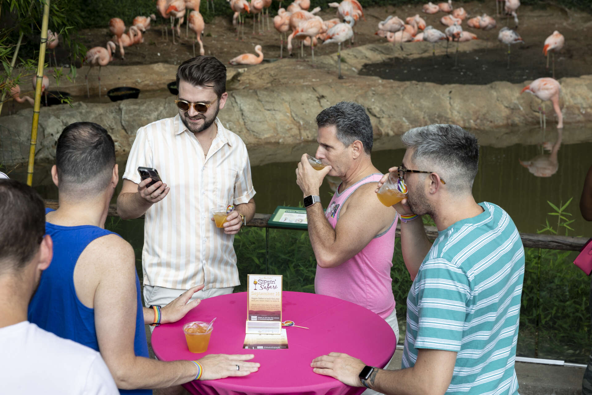 Pride Night at Zoo Atlanta - Zoo Atlanta