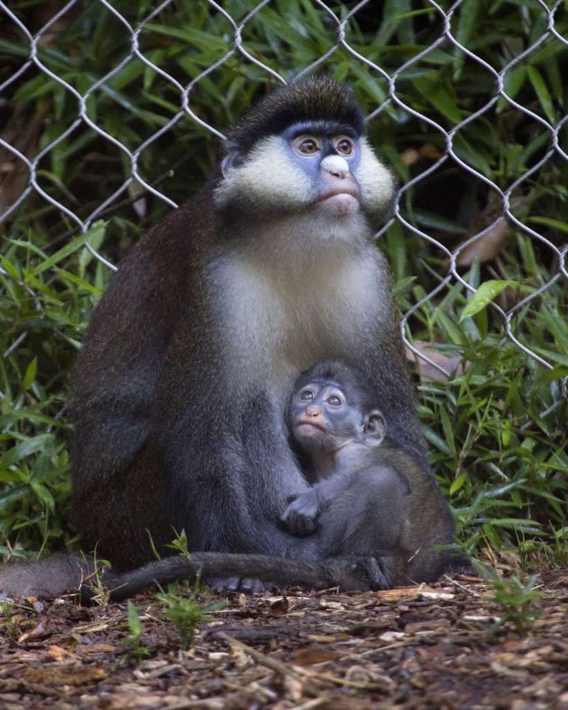 Keeper Stories - Thursday, December 15 - Zoo Atlanta