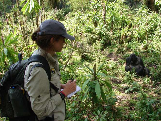 Dian Fossey Gorilla Fund - Zoo Atlanta