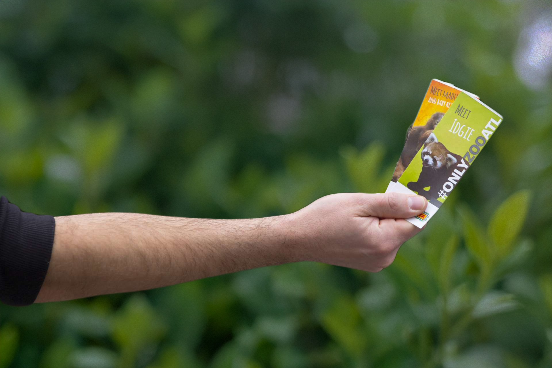 Zoo Atlanta Tickets - Zoo Atlanta