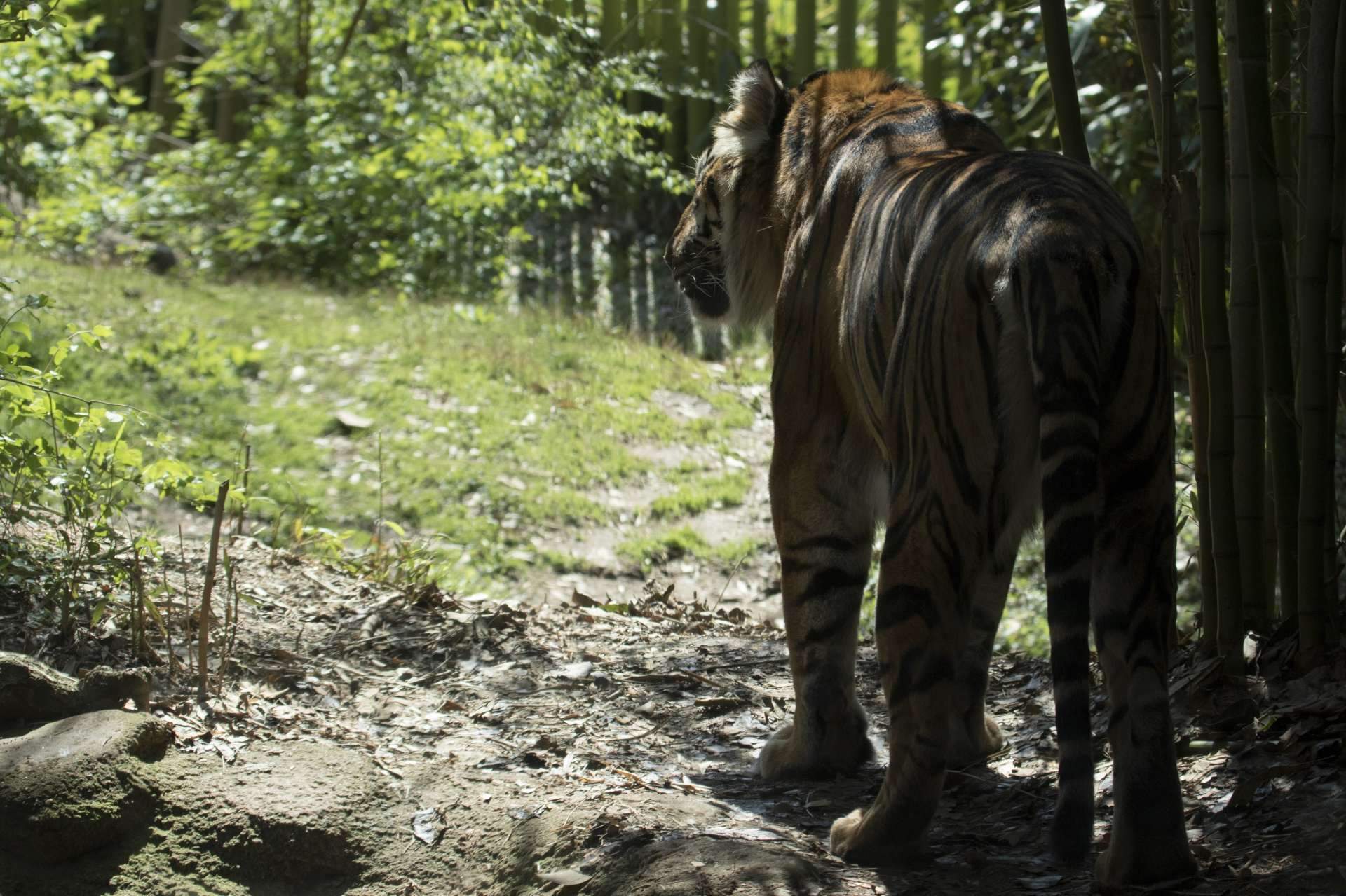 Hurray for Horticulture - Zoo Atlanta
