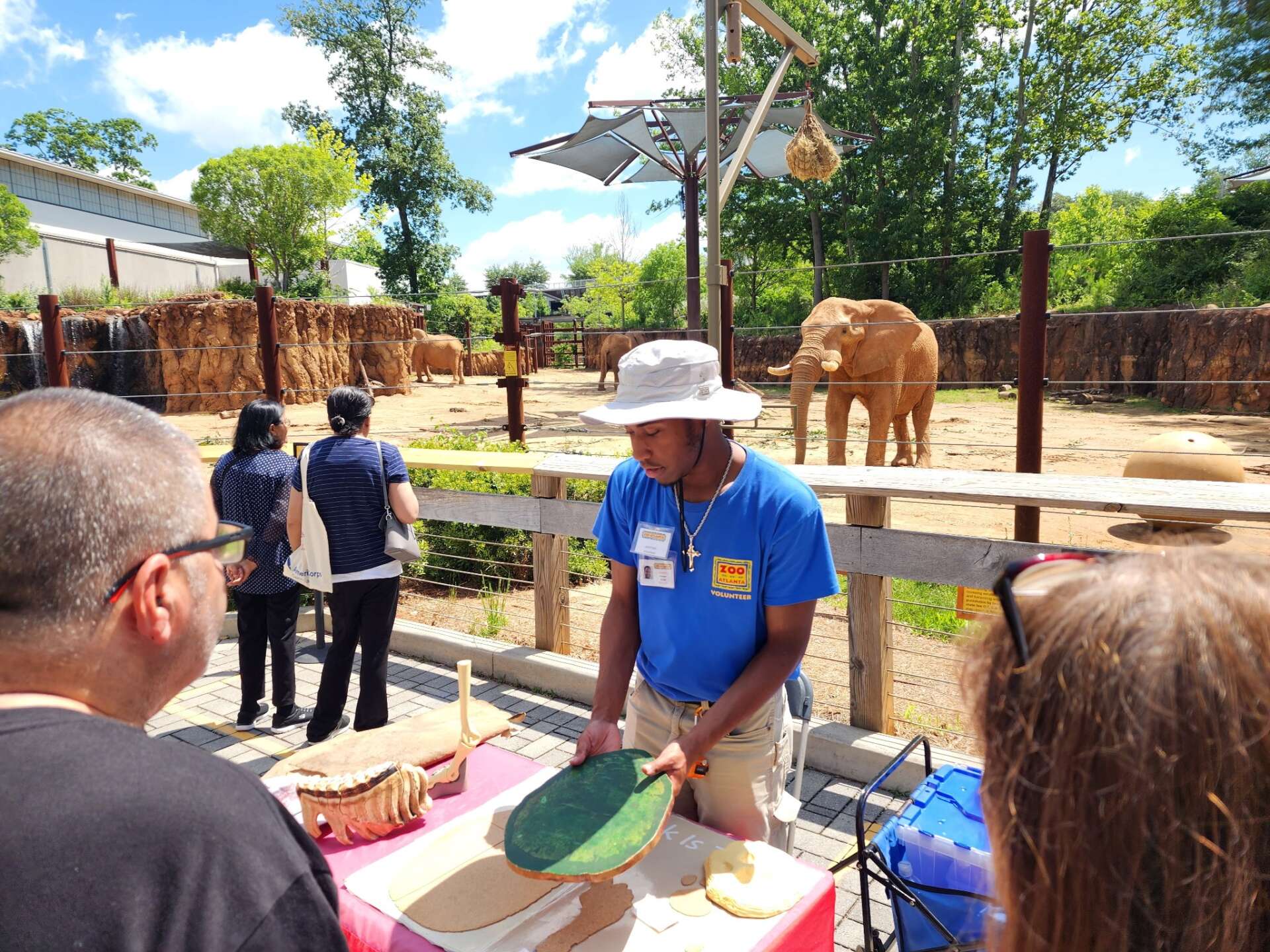 ALL-NEW NEIGHBORHOOD BLOCK PARTY PRESENTED BY KAISER PERMANENTE - Zoo ...