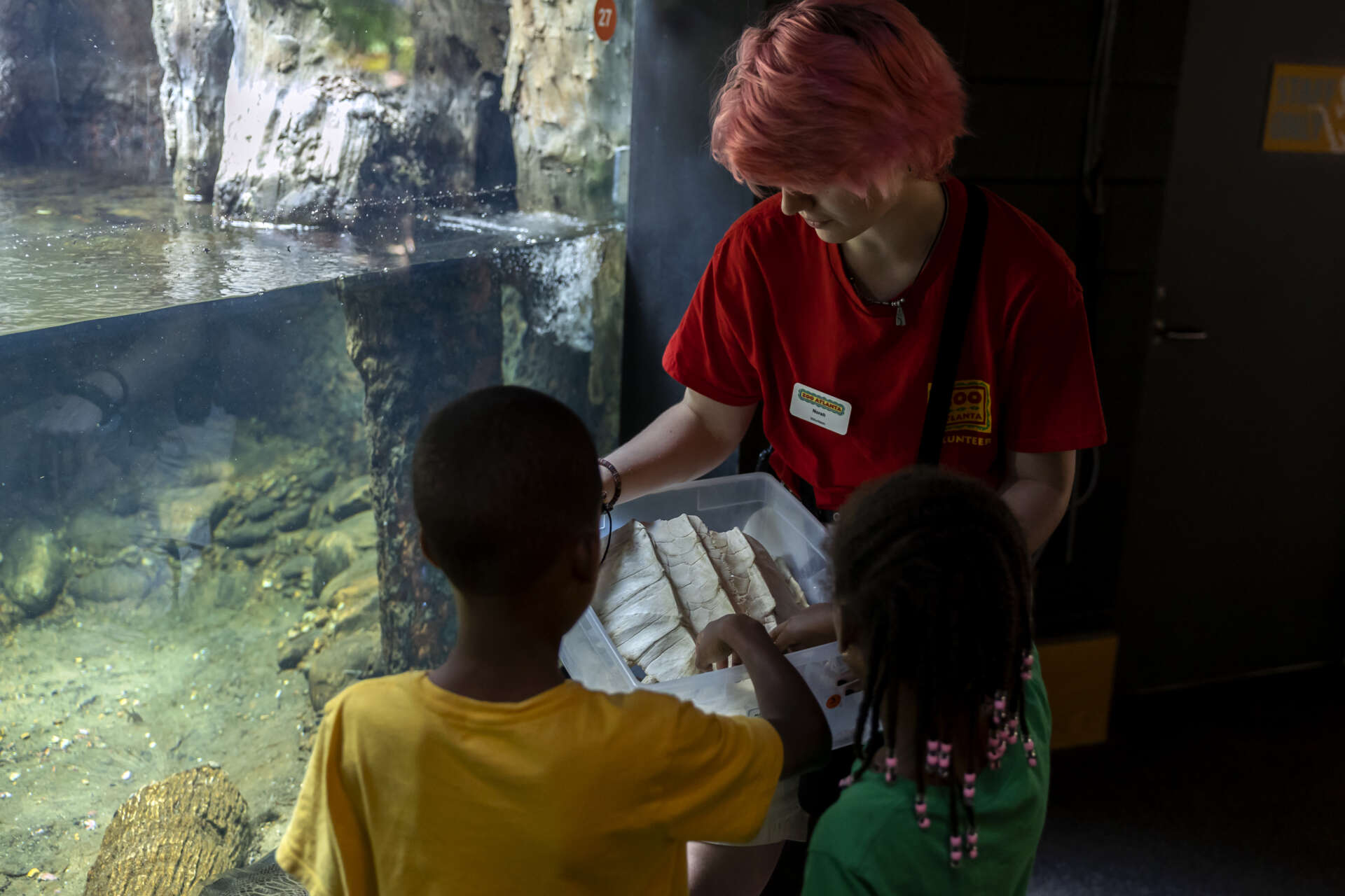 Teacher Resources - Zoo Atlanta