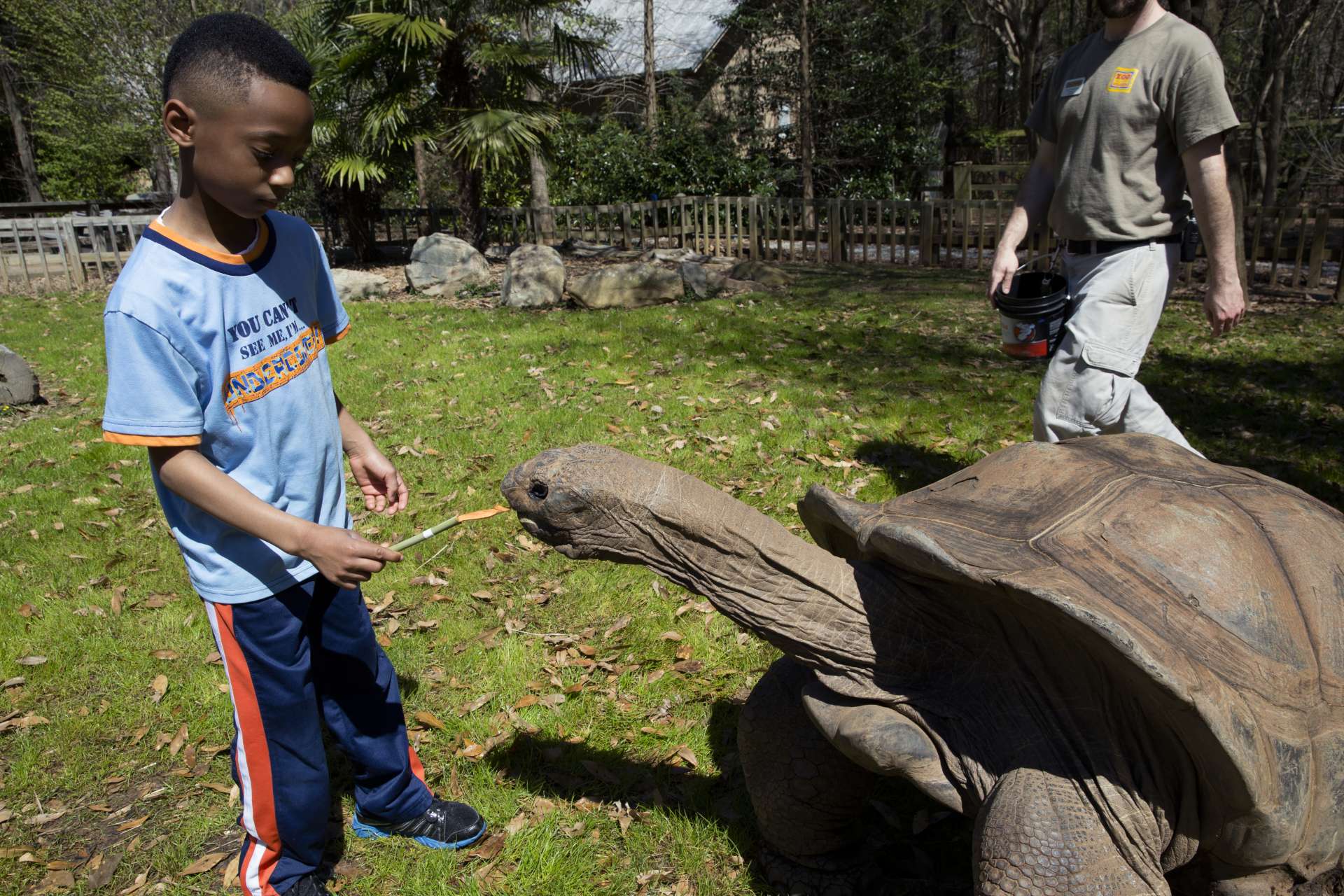 Animal Immersion Programs - Zoo Atlanta